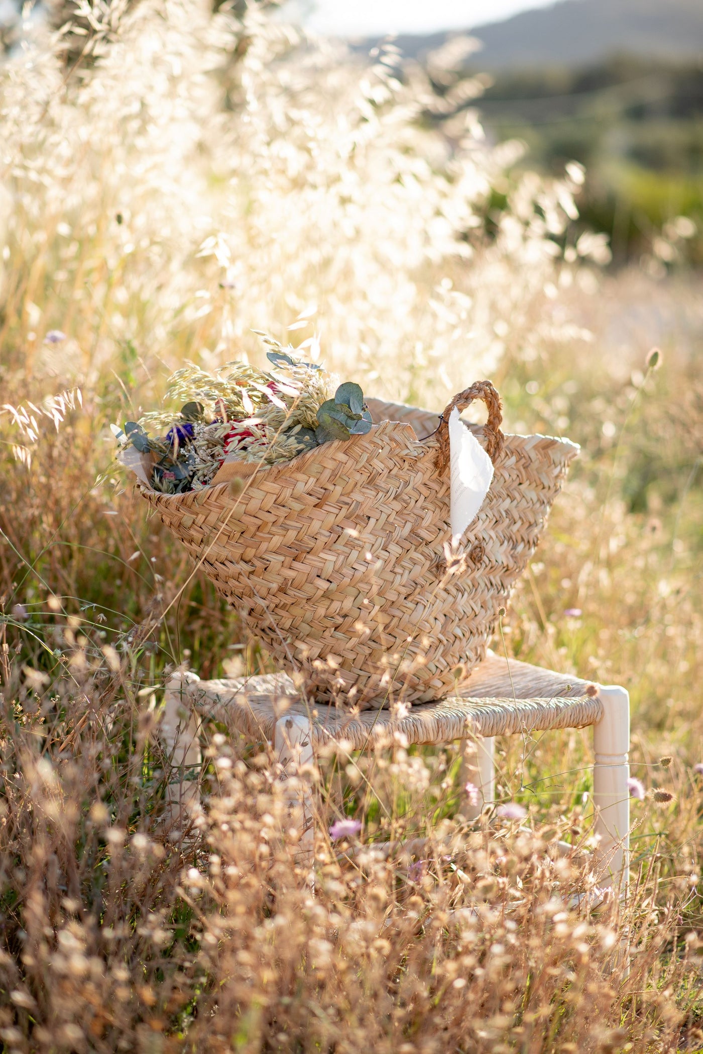 Complementos Decorativos